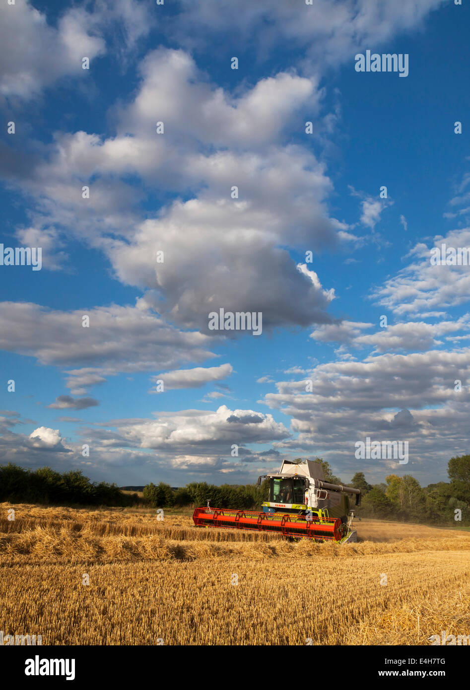 Combine harvester at work in a Norfolk barley field, UK Stock Photo - Alamy