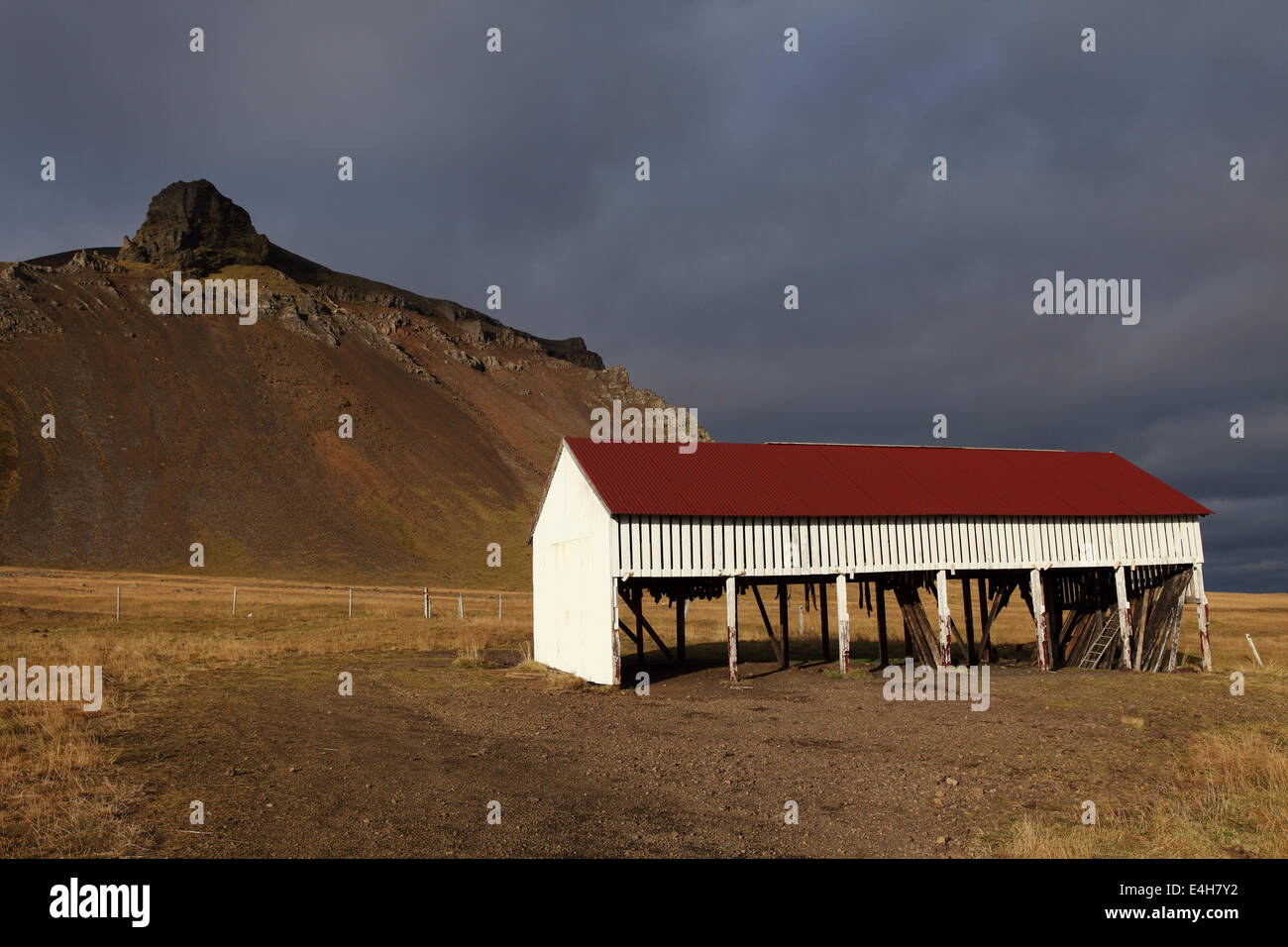 The curing shed at Bjarnahofn, Iceland. Hakari or Hakarl (cured ...