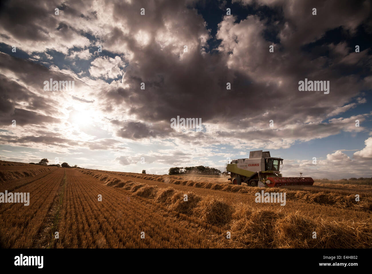 Rural scene combine harvester hi-res stock photography and images - Alamy