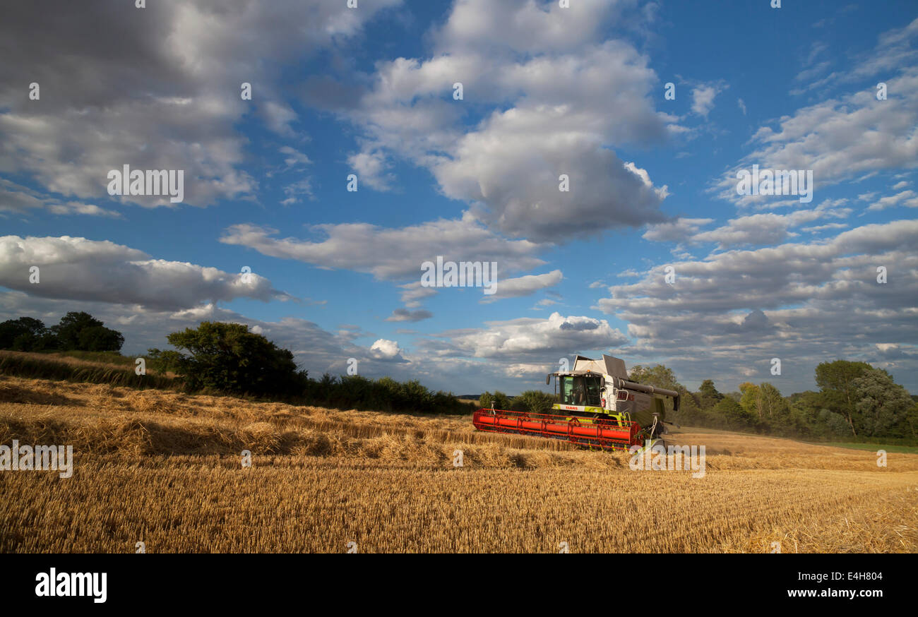 Combine harvester at work in a Norfolk barley field, UK Stock Photo - Alamy