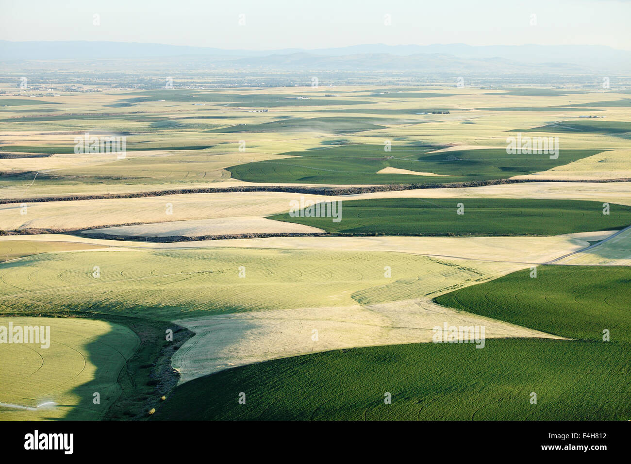 An aerial view of farmland and pivot sprinklers watering the fields ...