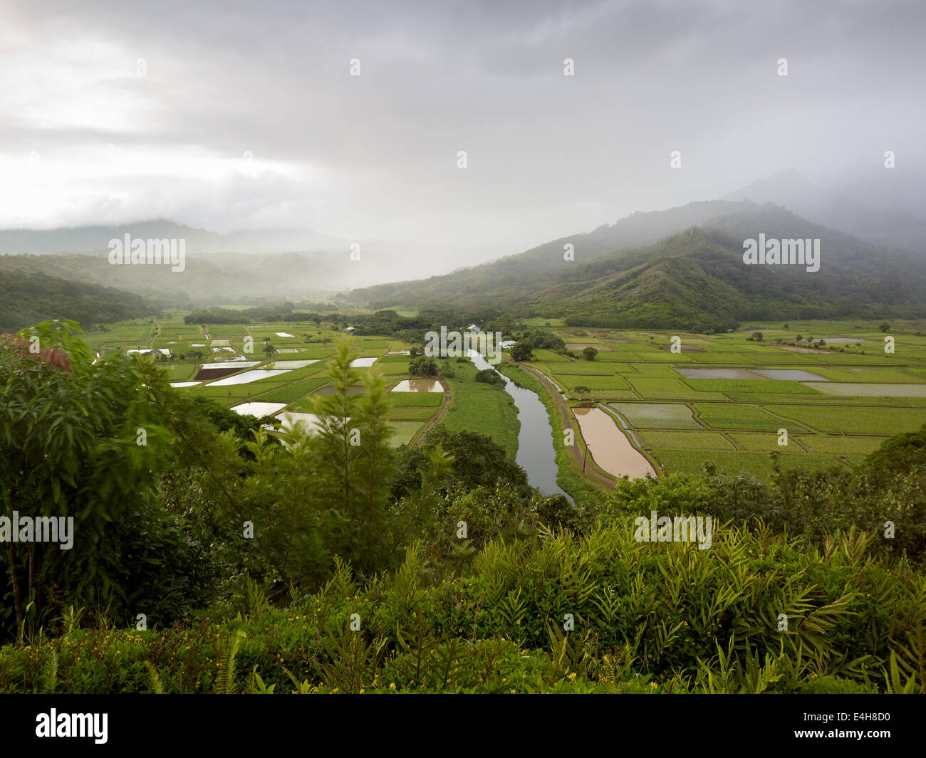 Kauai farming hi-res stock photography and images - Alamy