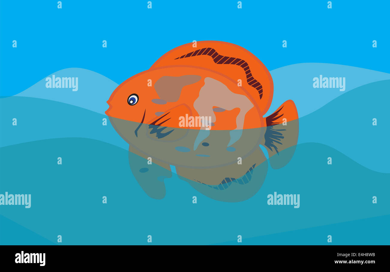 Orange Fish in Sea Background. Vector Illustration Stock Photo - Alamy