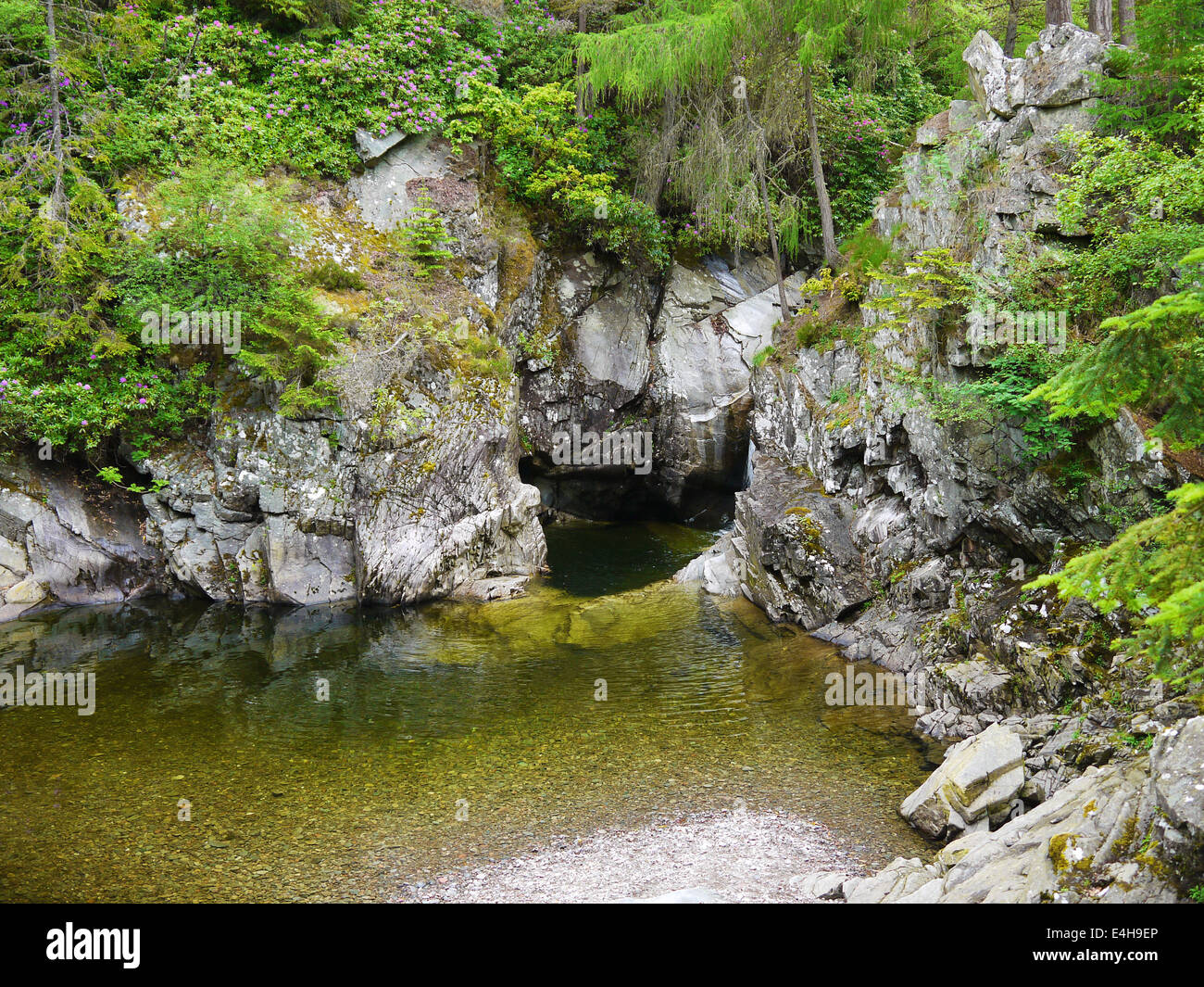 River deep in mountain forest Stock Photo - Alamy