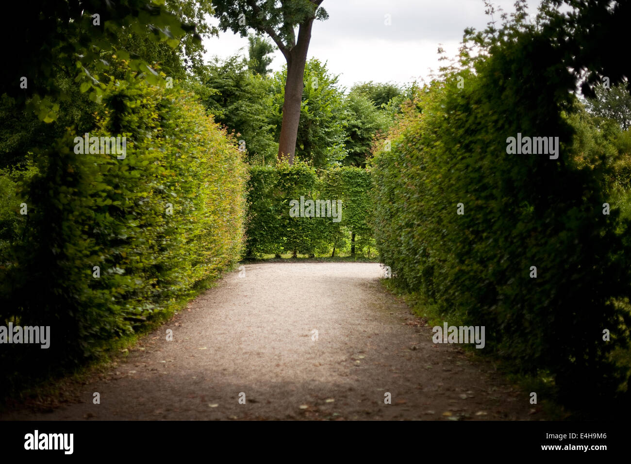 Pathway hedges hi-res stock photography and images - Alamy
