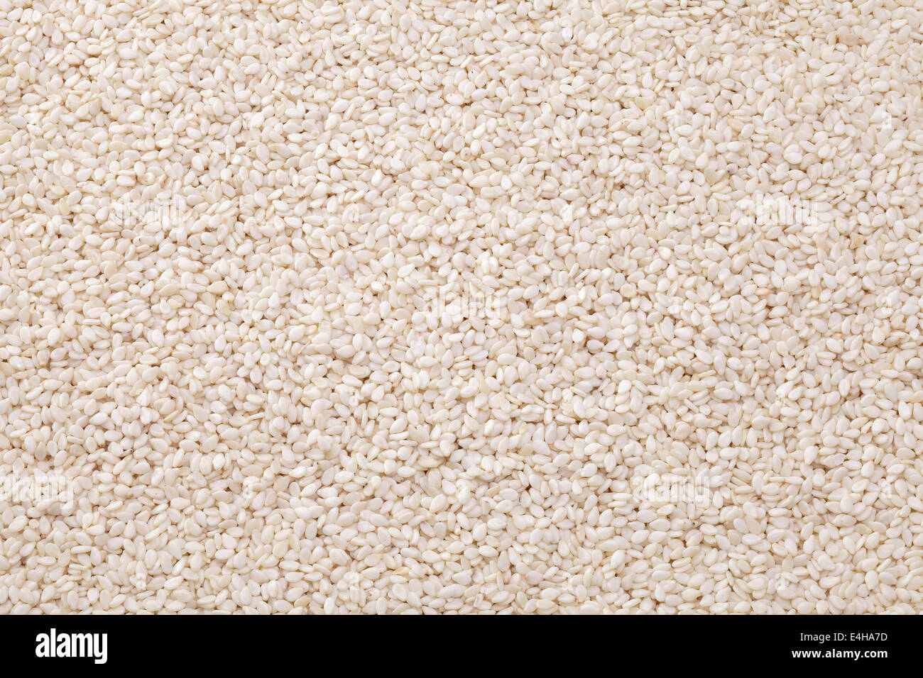 White sesame seeds isolated on white background Stock Photo - Alamy