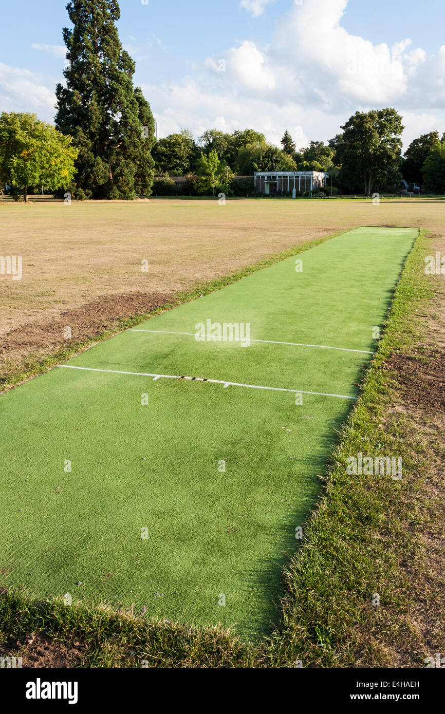 Empty cricket pitch Stock Photo - Alamy