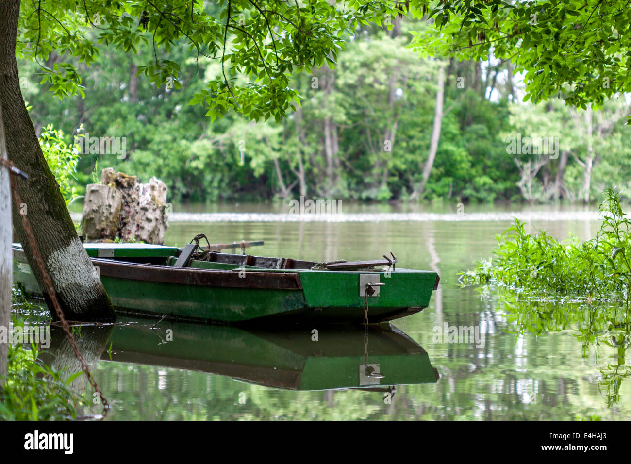 an old green boat between trees on the river Stock Photo - Alamy