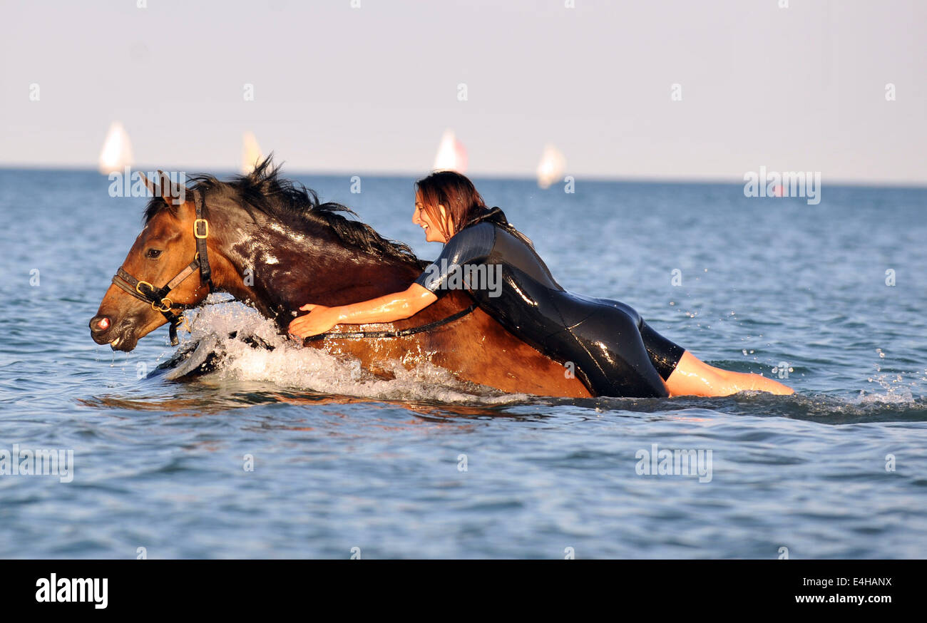 Horse and rider swim in the sea Stock Photo - Alamy