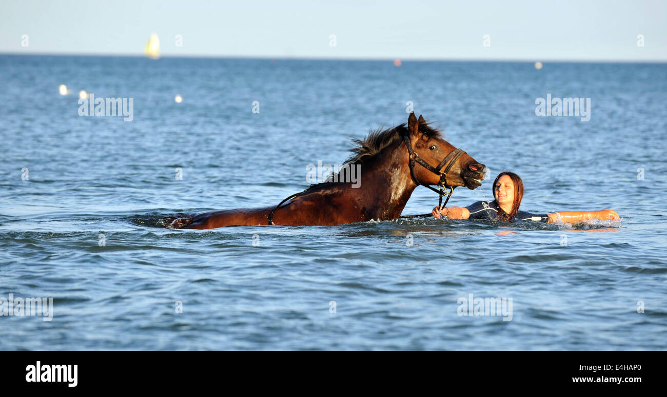 Horse and rider swim in the sea Stock Photo - Alamy