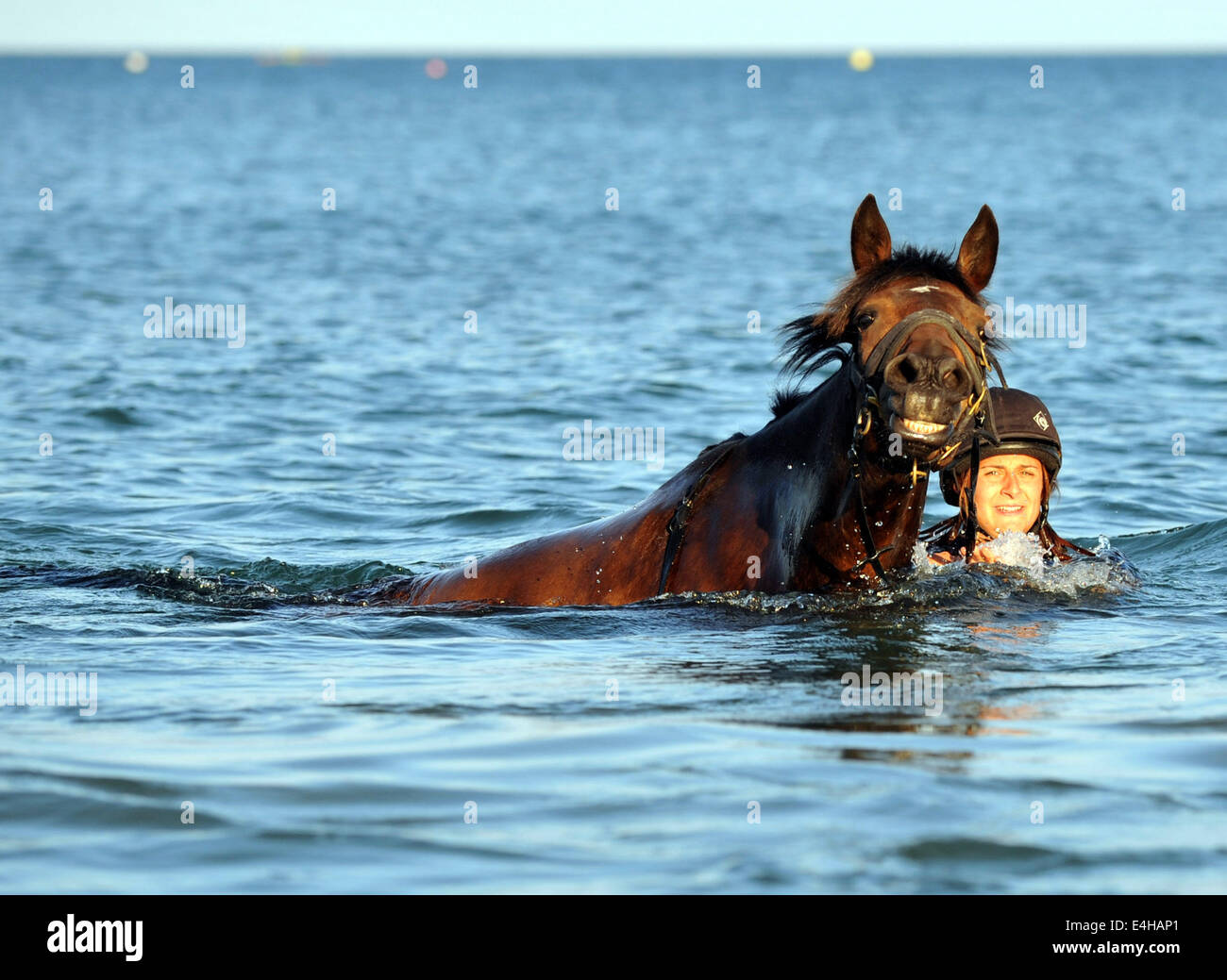 Horse and rider swim in the sea Stock Photo - Alamy