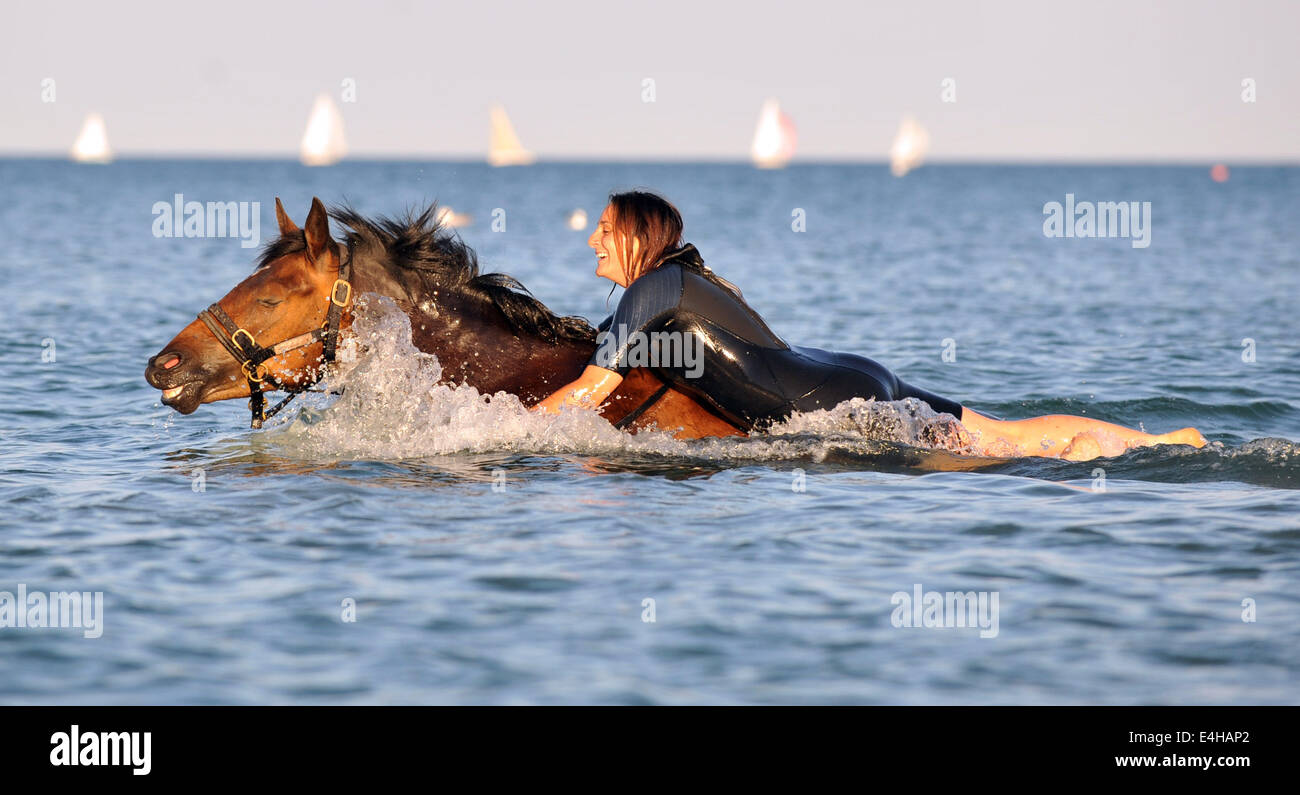 Horse and rider swim in the sea Stock Photo - Alamy