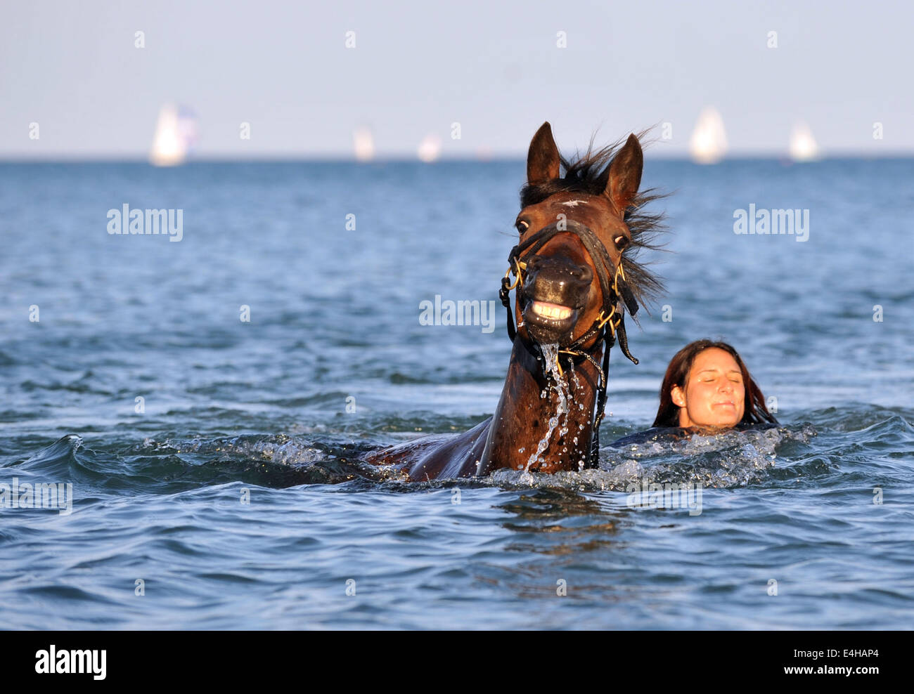 Horse and rider swim in the sea Stock Photo - Alamy