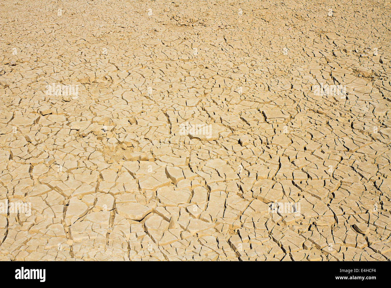 Beautiful photo sundried and cracked earth Stock Photo - Alamy
