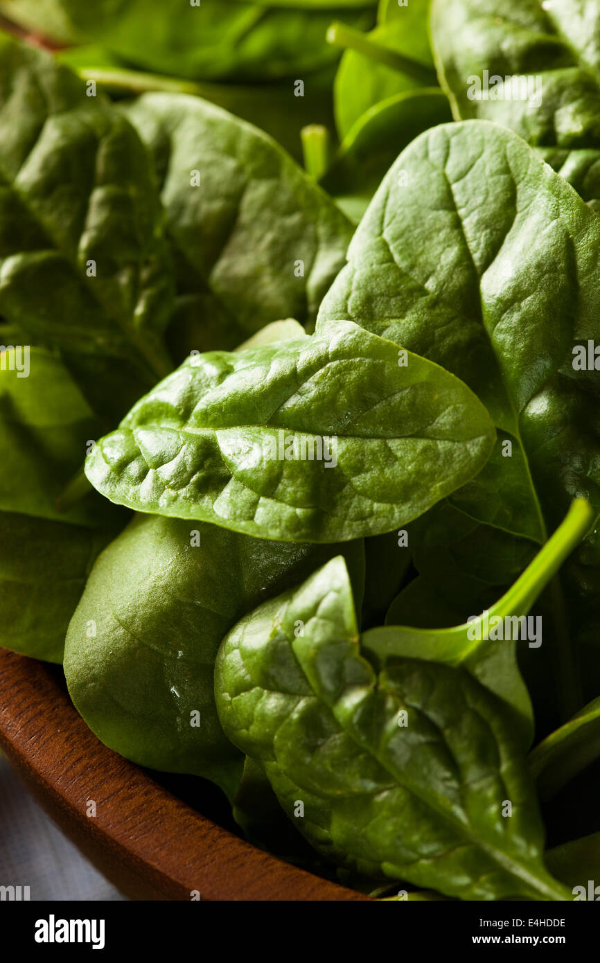 Green spinach leaf hi-res stock photography and images - Alamy