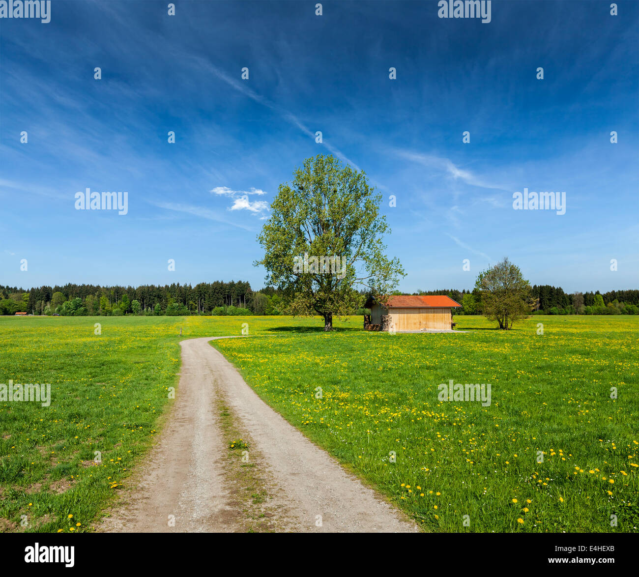 Rural Road In Bavaria High Resolution Stock Photography and Images - Alamy