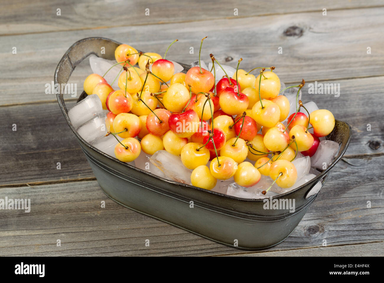 Horizontal photo of fresh Rainier whole cherries on top of ice in a ...