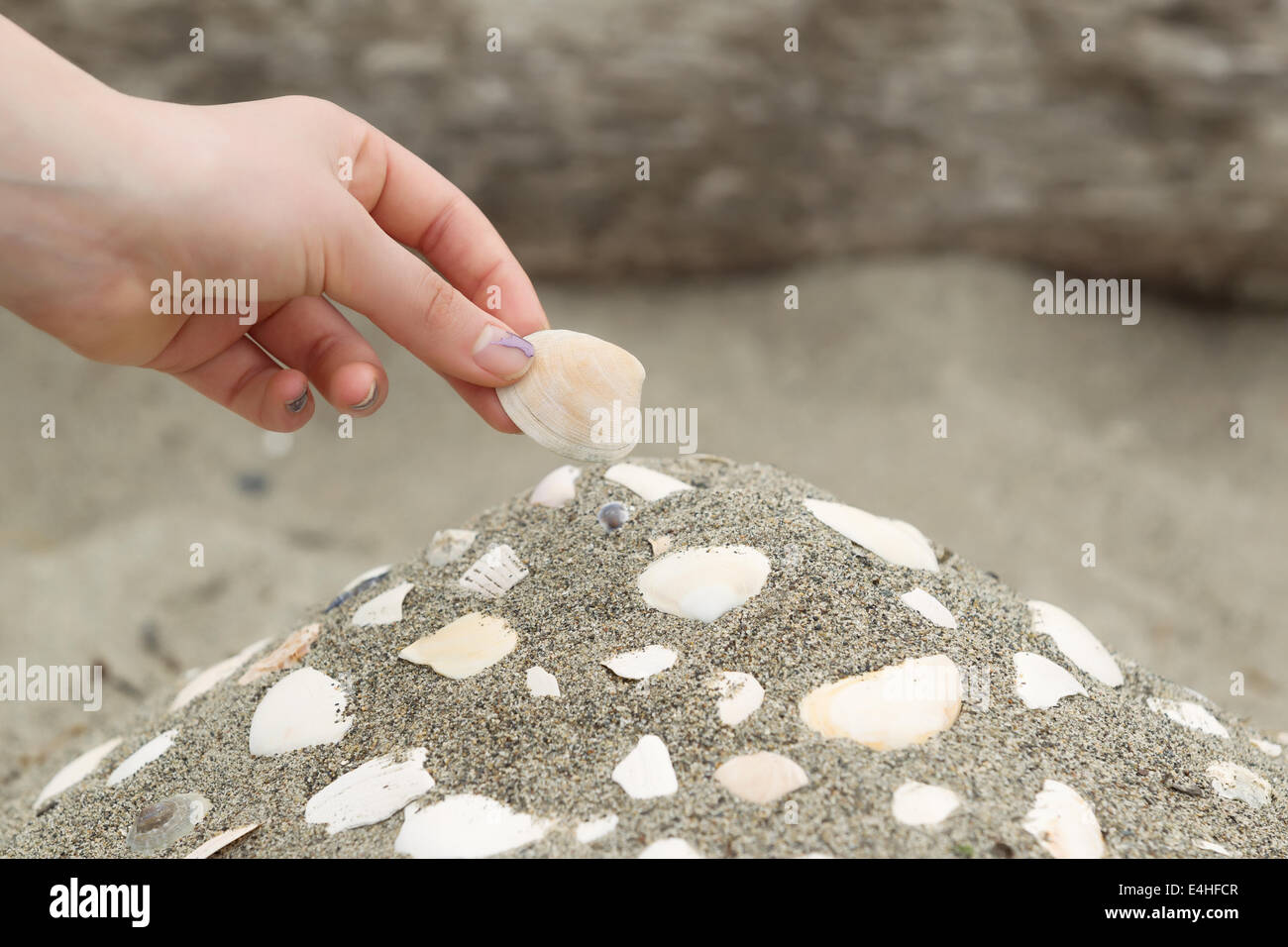 Horizontal photo of female hand placing a seashell on a mound of sand ...