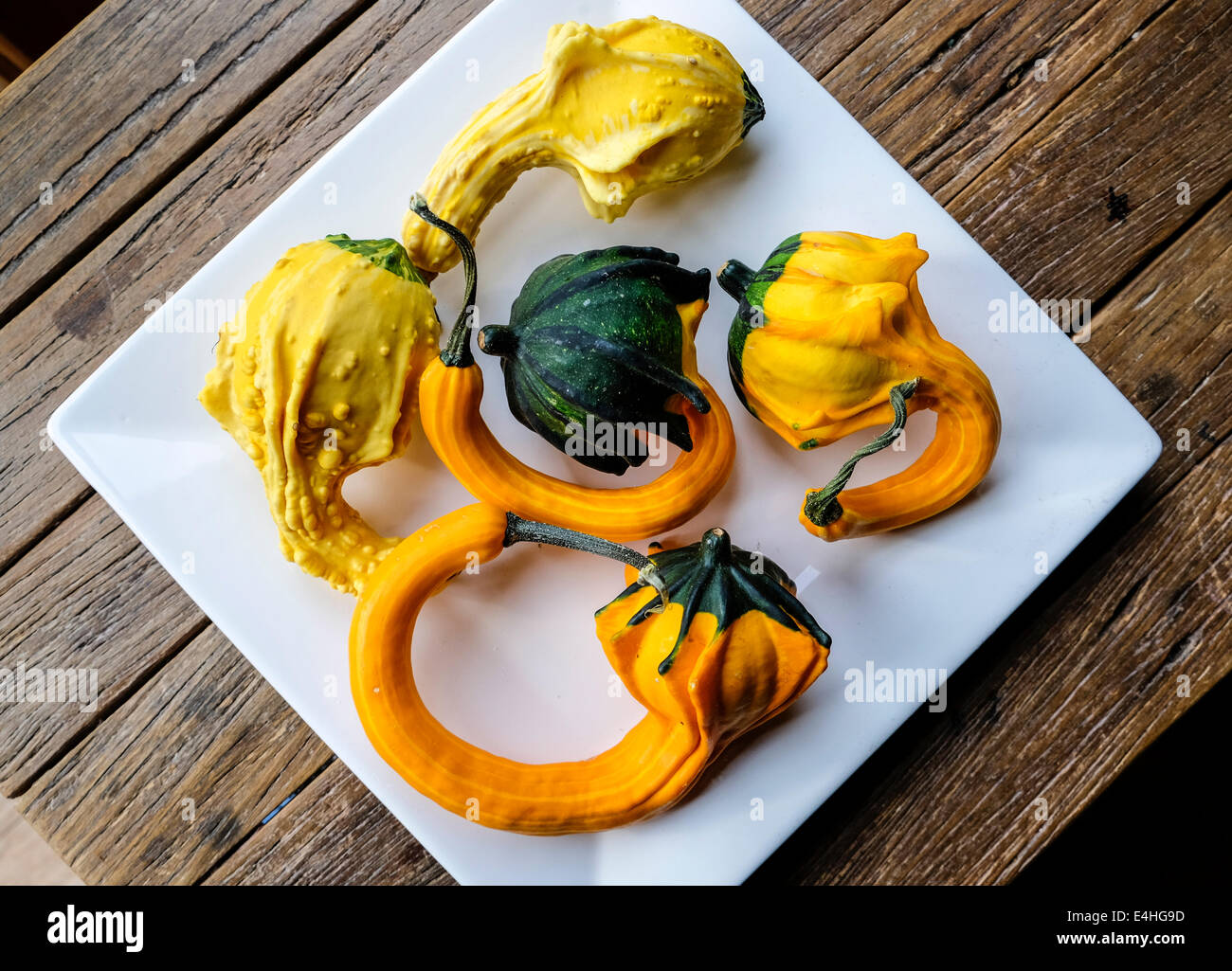 A display of decorative gourds Stock Photo - Alamy