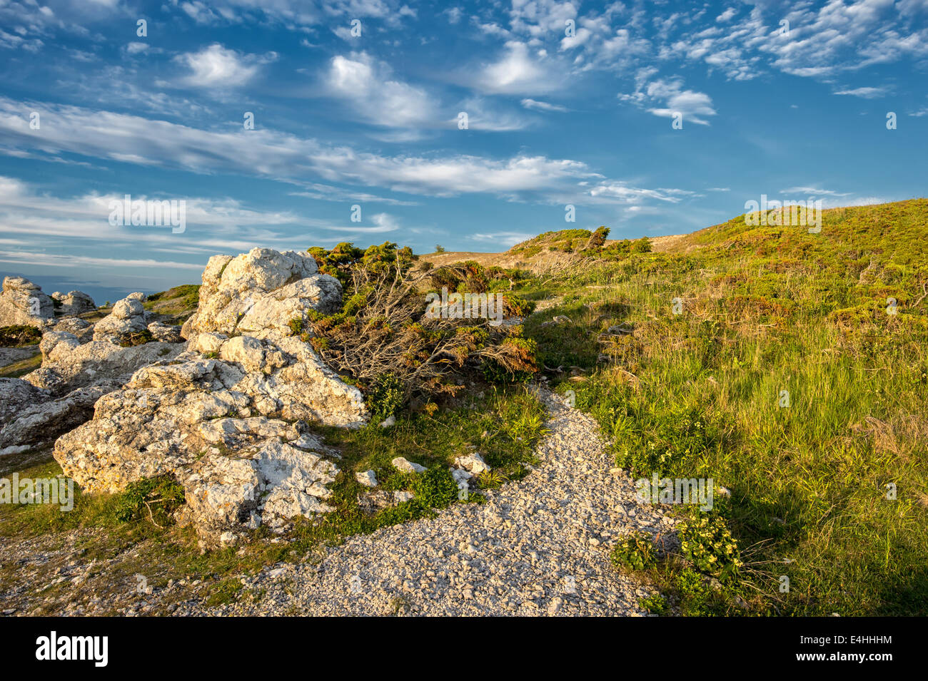 Nordic light at Langhammars on Faro island in Sweden Stock Photo - Alamy