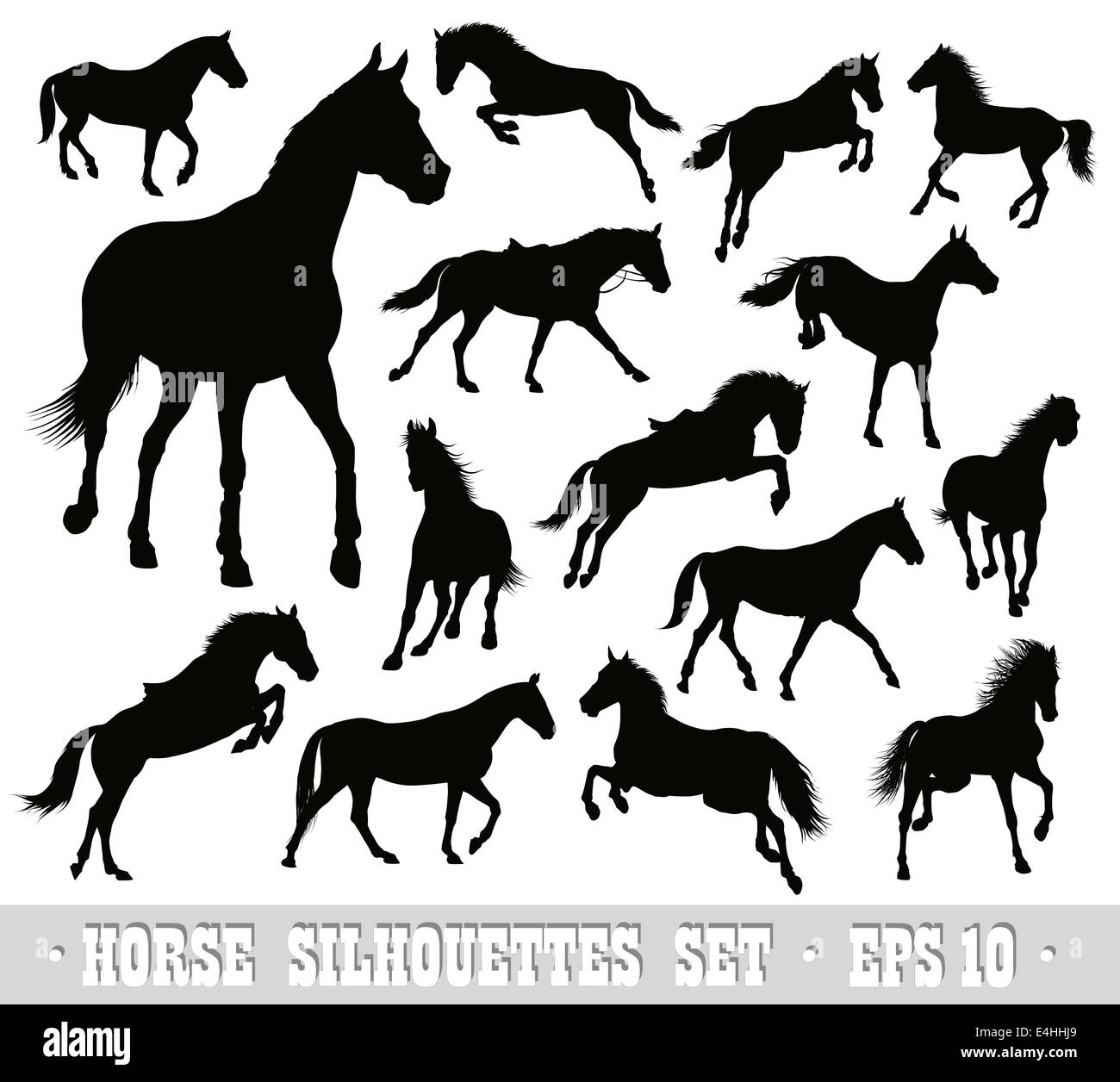 Vector saddle hi-res stock photography and images - Alamy