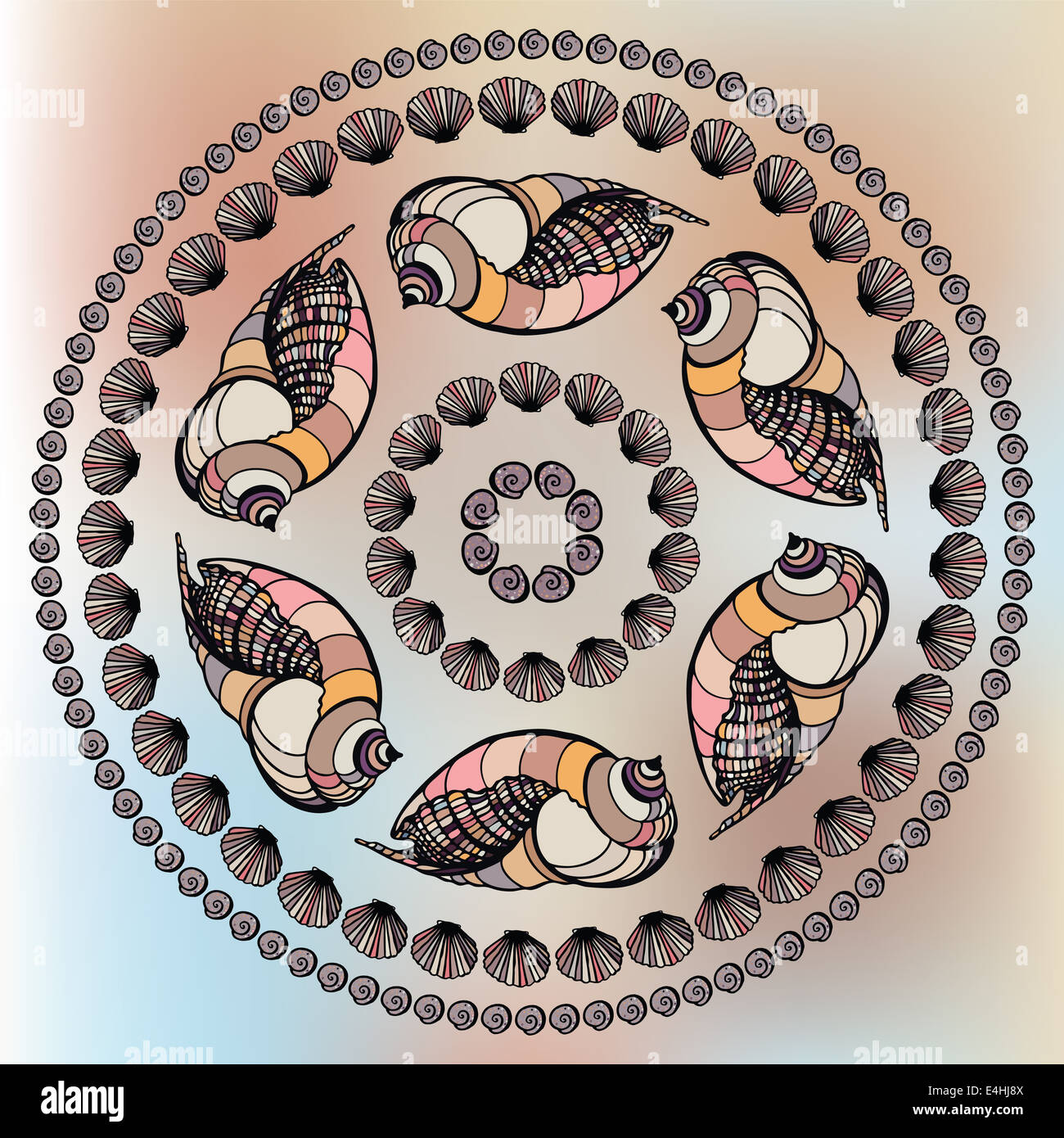 Sea Shell Mandala High Resolution Stock Photography and Images - Alamy