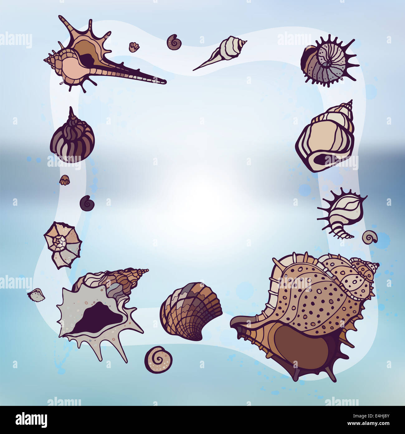 Frame of seashells Stock Photo - Alamy