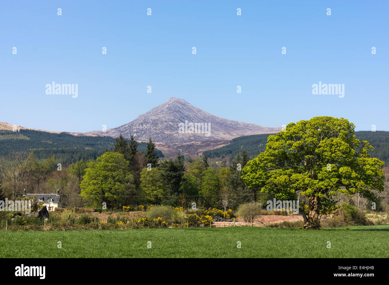 Goatfell on the Isle of Arran Stock Photo - Alamy