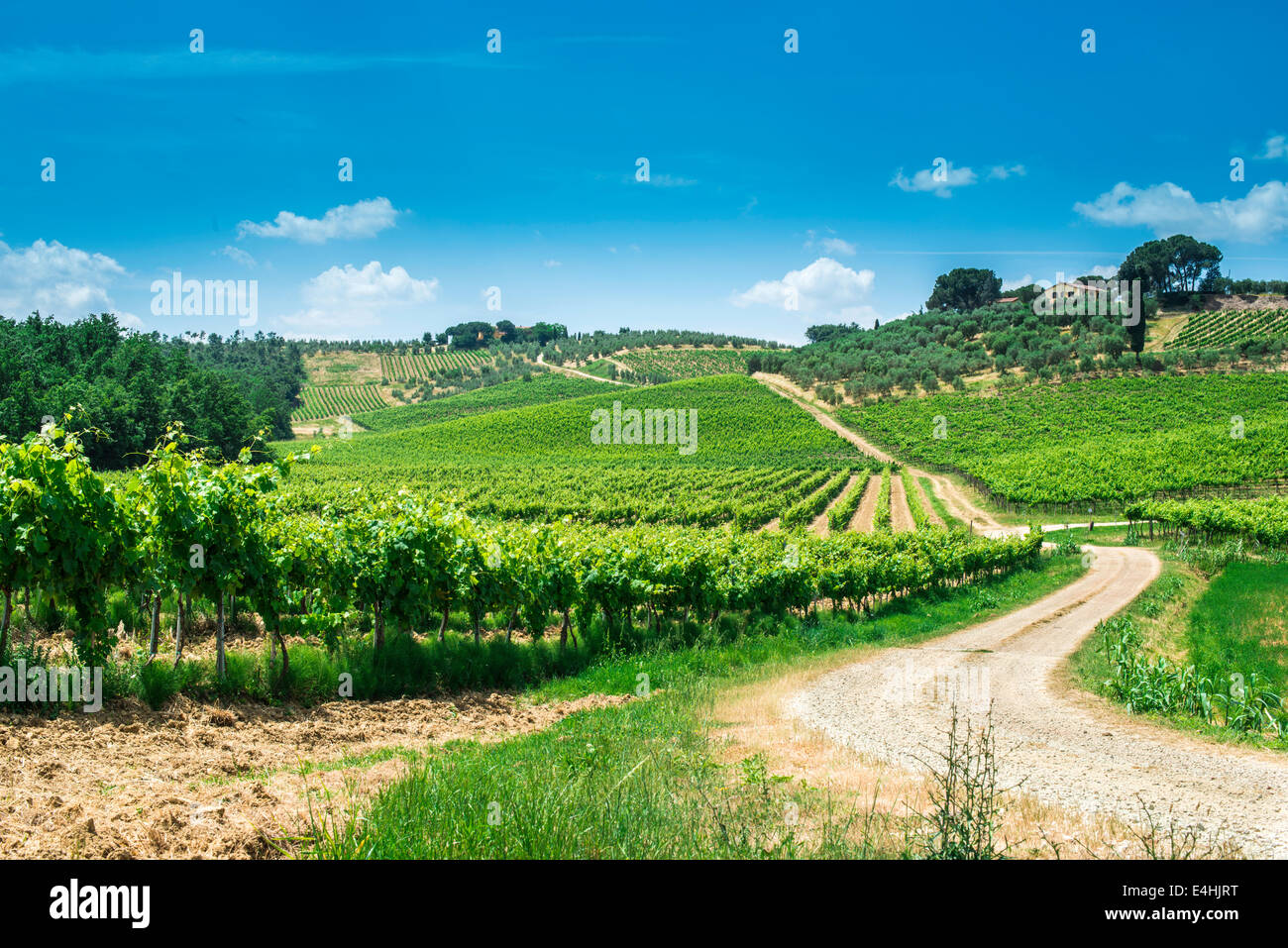 Vine plantations farmhouse in hi-res stock photography and images - Alamy