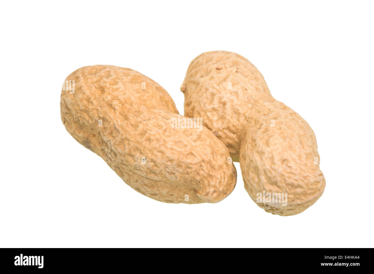 Two peanuts on a white background, close image Stock Photo - Alamy