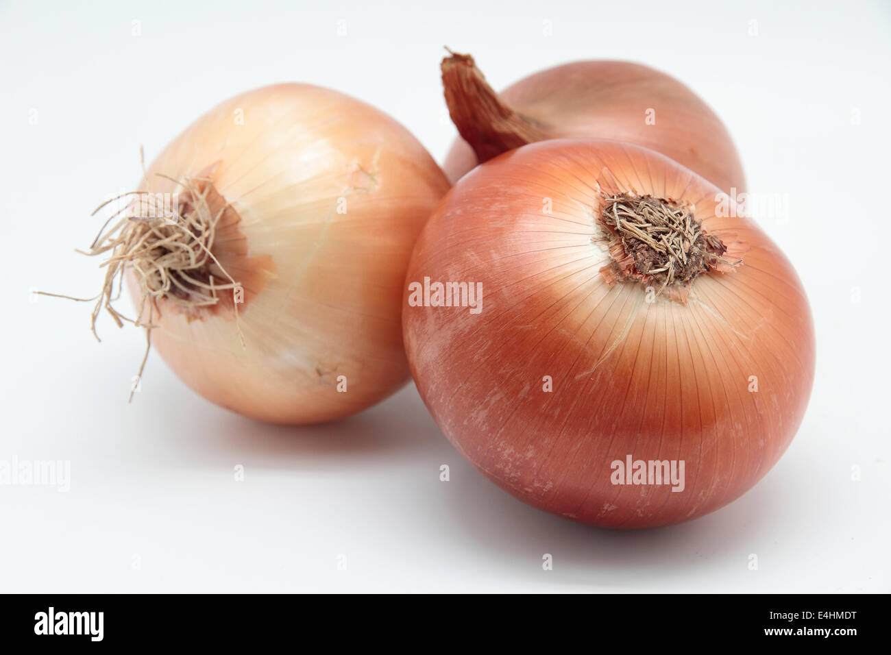 photograph of three onion "Allium cepa" on white background Stock Photo ...