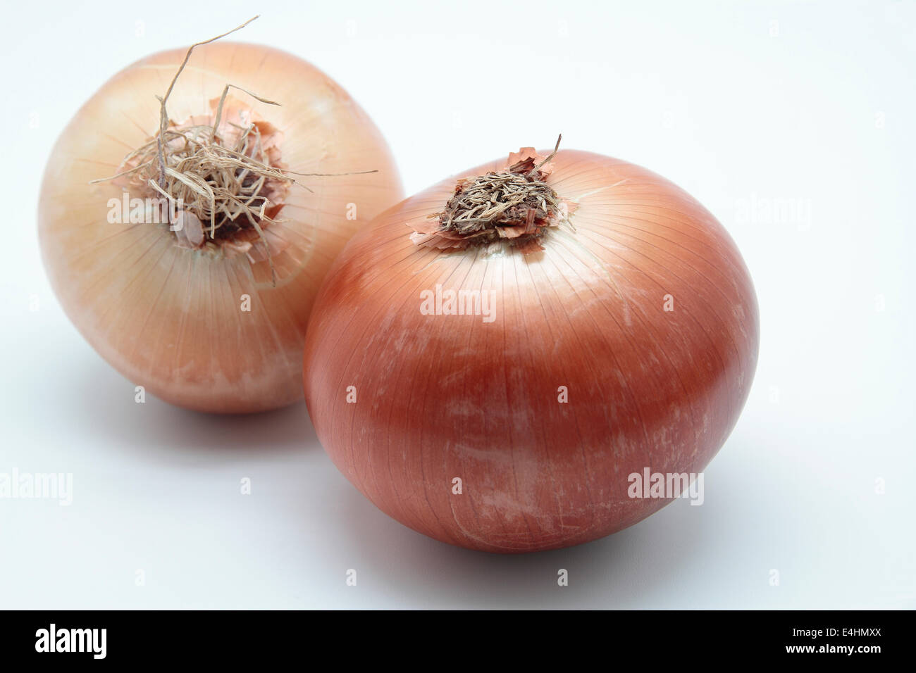 Section single red onion sliced hi-res stock photography and images - Alamy