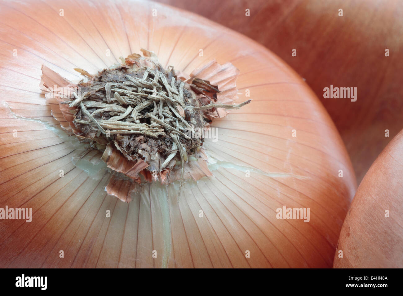 Section single red onion sliced hi-res stock photography and images - Alamy