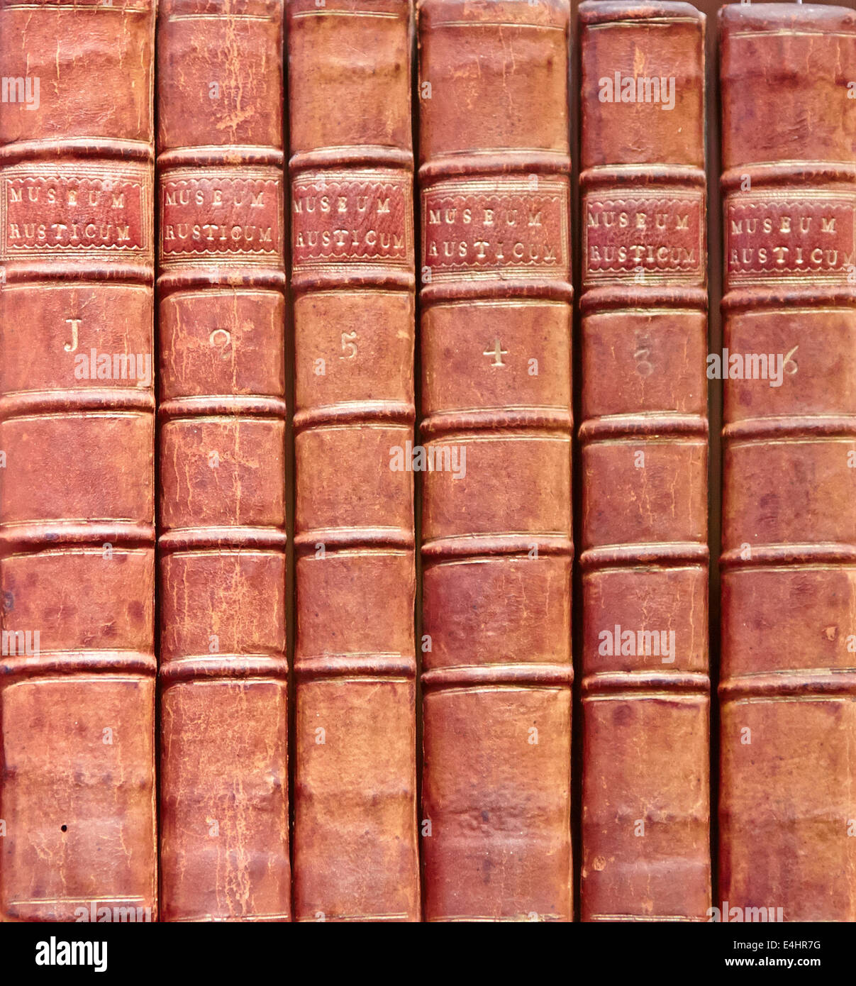 Old leather bound Museum Rusticum books about farming and agriculture ...