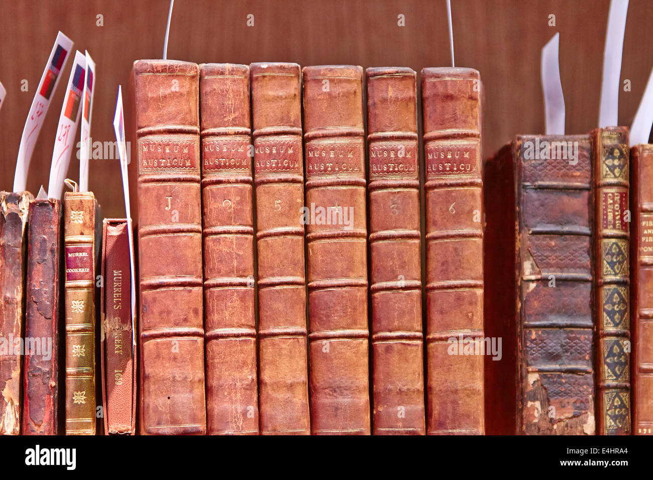 Old leather bound Museum Rusticum books about farming and agriculture ...