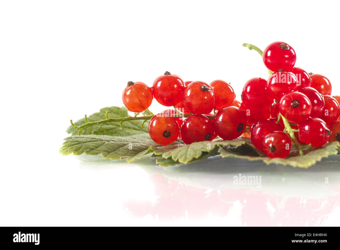 red currant with leaves on white background Stock Photo - Alamy