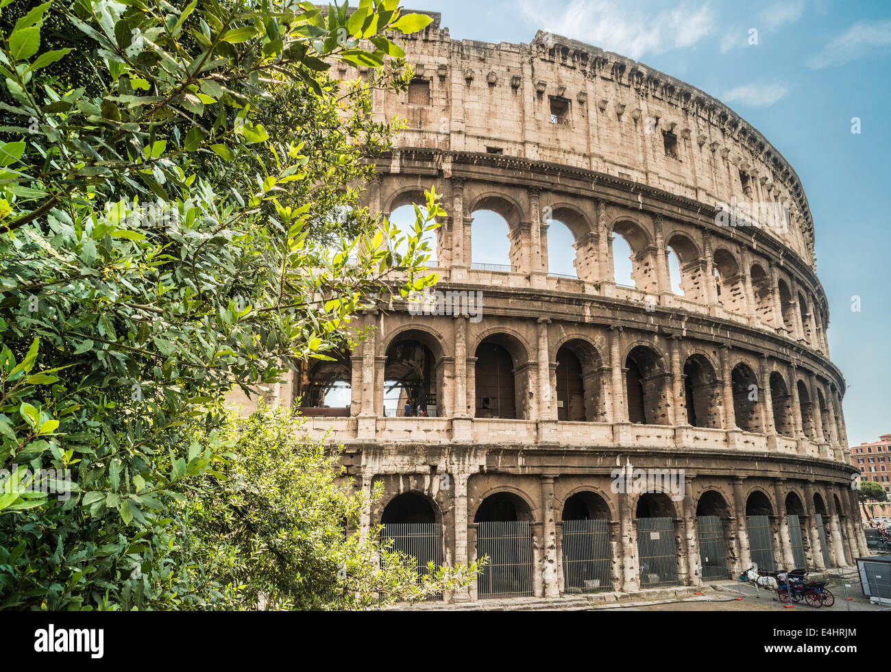 The Colosseum in Rome. Frontal view Stock Photo - Alamy