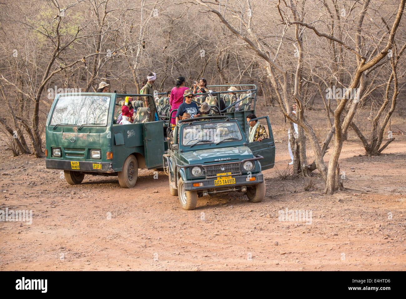 Ranthambhore India, jeep safari, national park, Rajasthan, wilderness ...