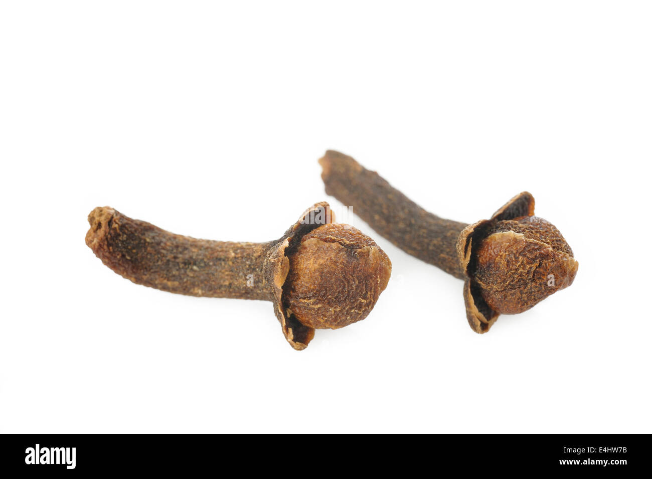 spice cloves isolated on white background Stock Photo - Alamy