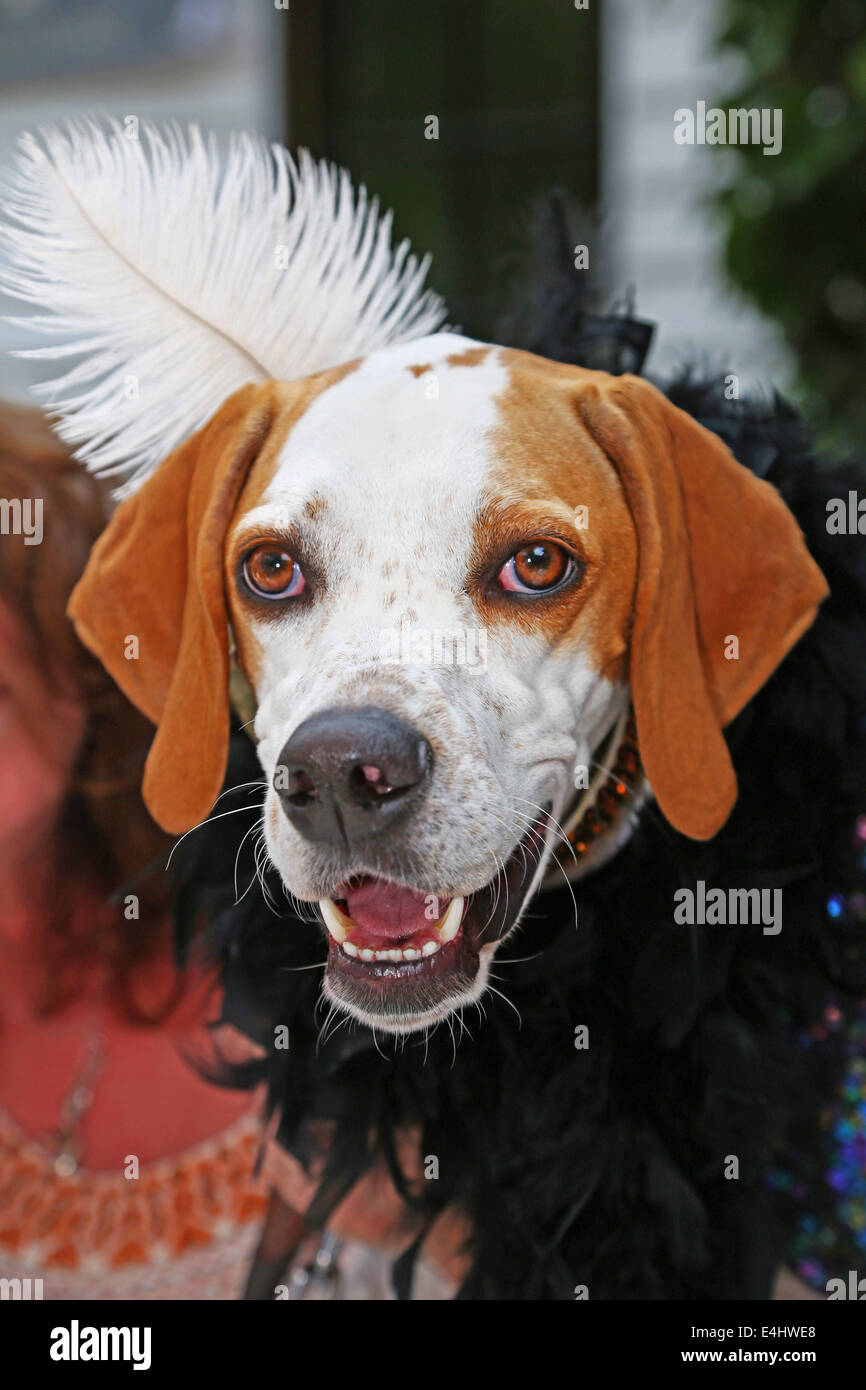 1920s flapper hi-res stock photography and images - Alamy