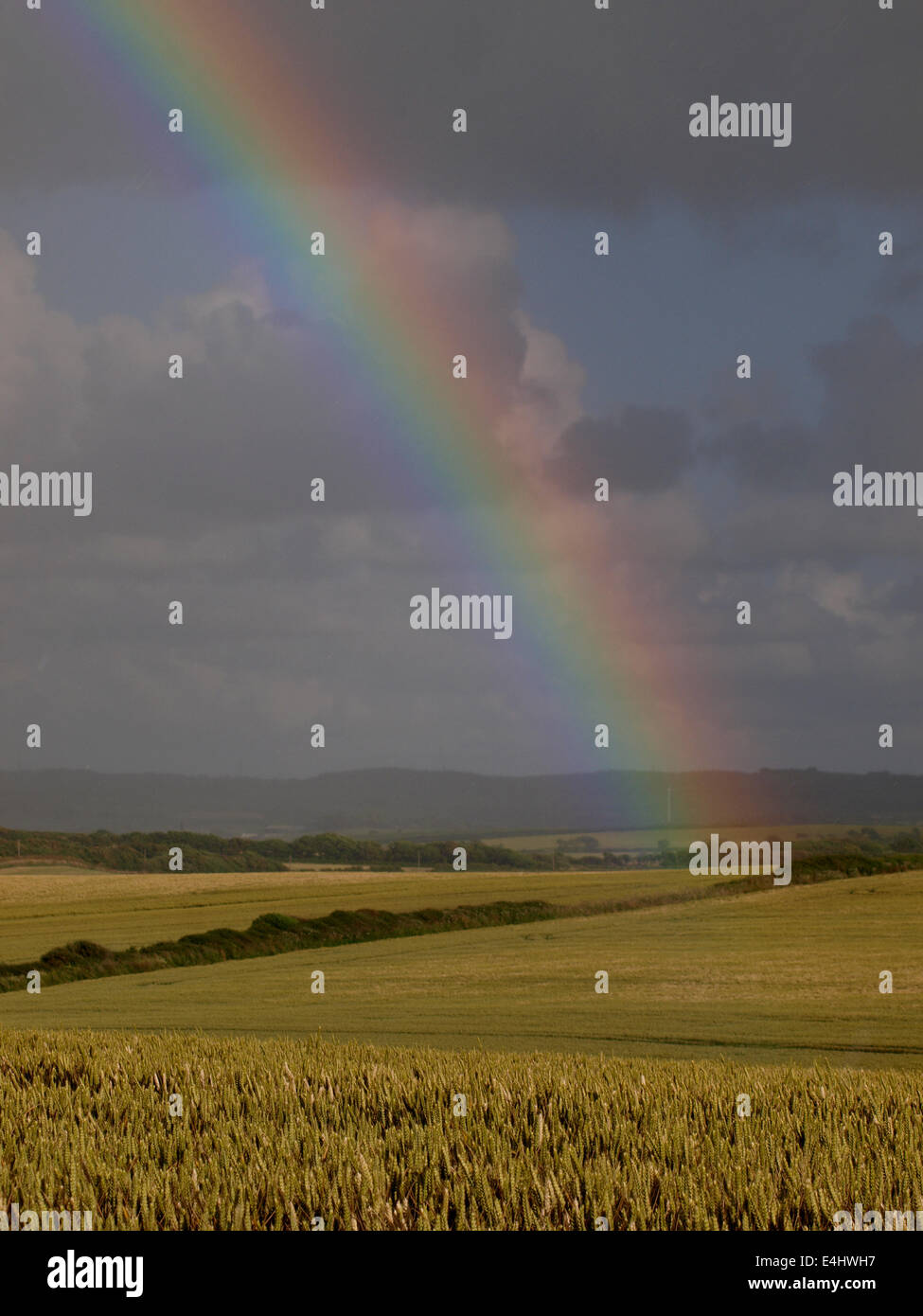 Crops fields uk hi-res stock photography and images - Alamy