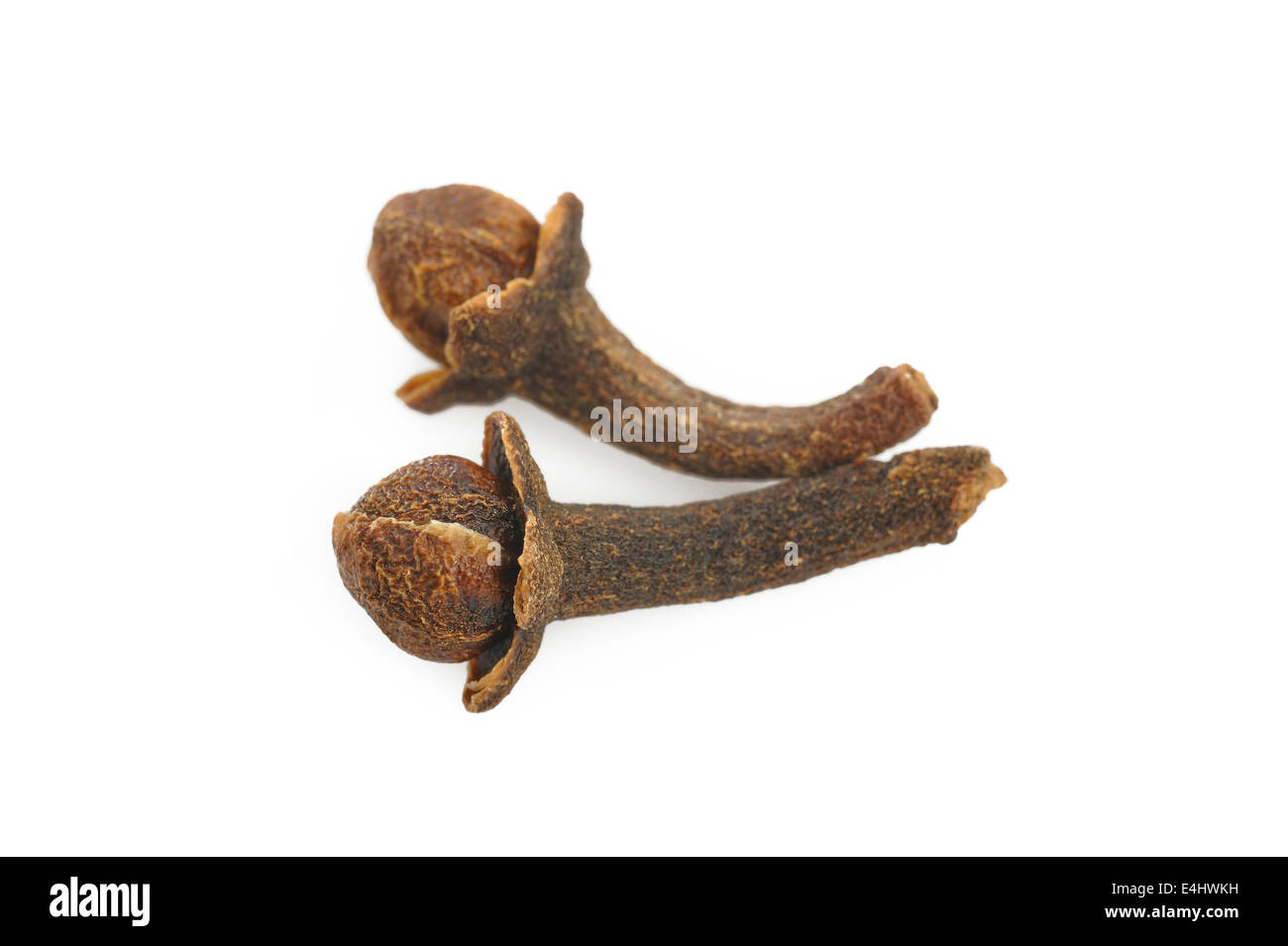 spice cloves isolated on white background Stock Photo - Alamy