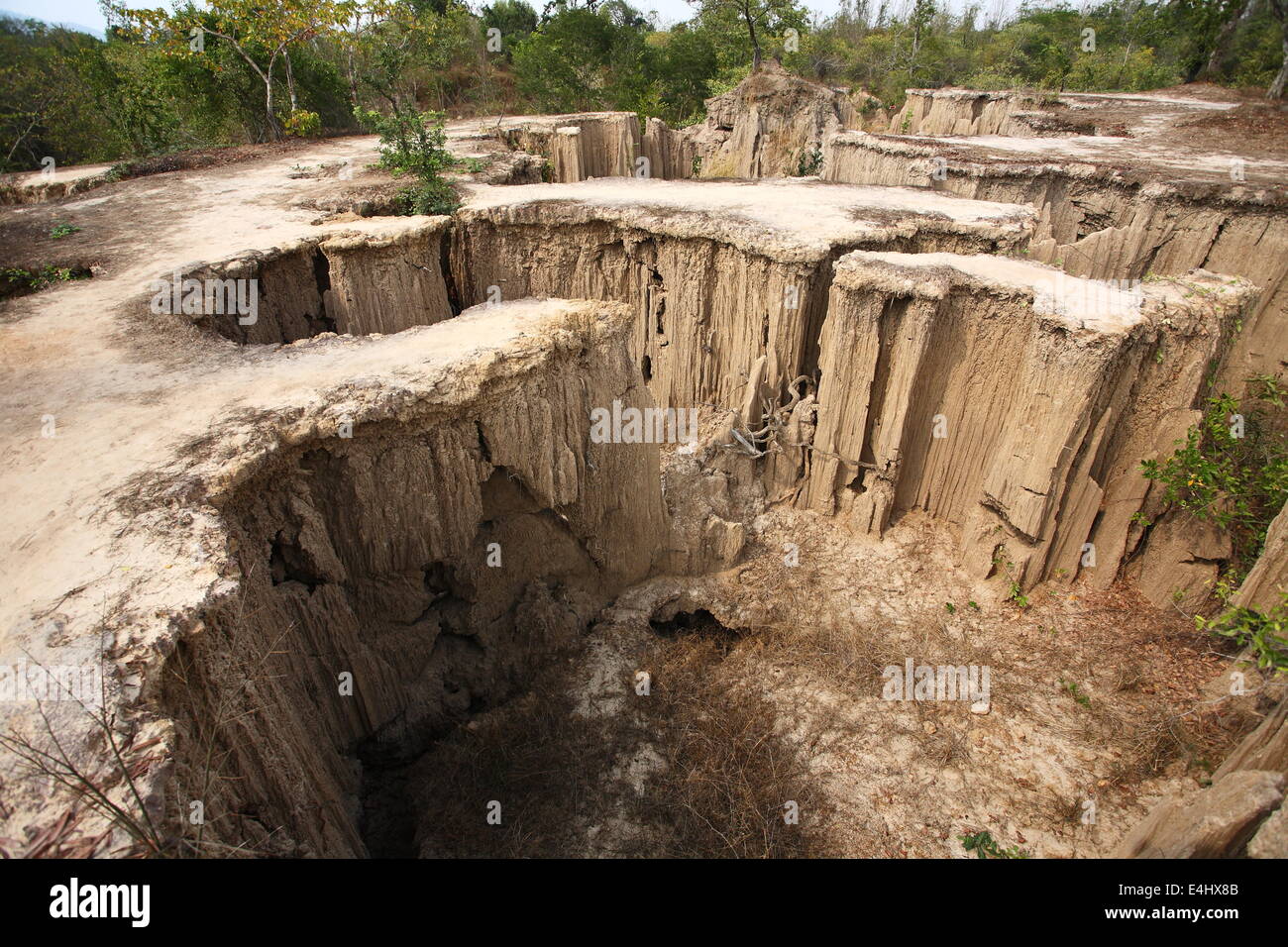 Runoff soil erosion hi-res stock photography and images - Alamy