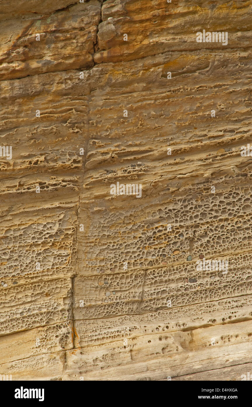 Weathered Sandstone Cliff at Elgol Stock Photo - Alamy