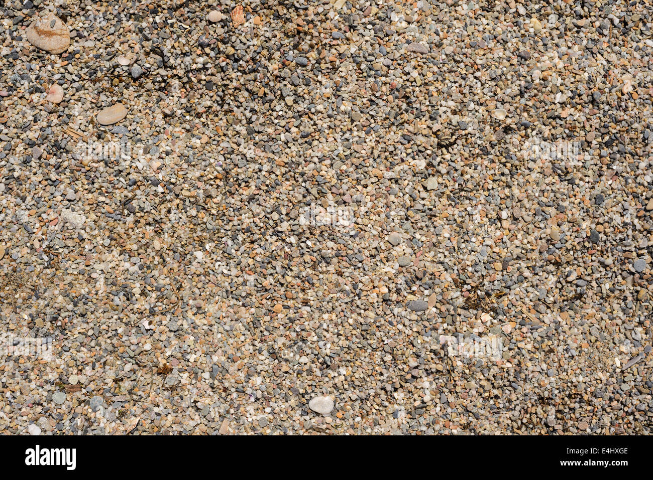 Macro Grain Of Sand High Resolution Stock Photography and Images - Alamy