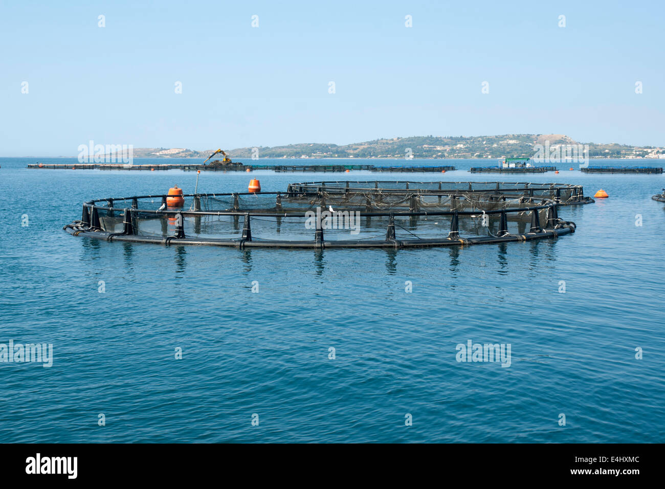 Fish Farm off the coast of Argostoli Kefalonia Greece Stock Photo - Alamy