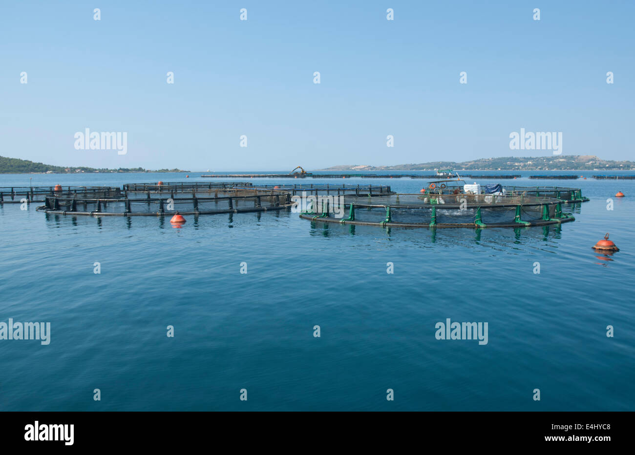 Fish Farm off the coast of Argostoli Kefalonia Greece Stock Photo - Alamy