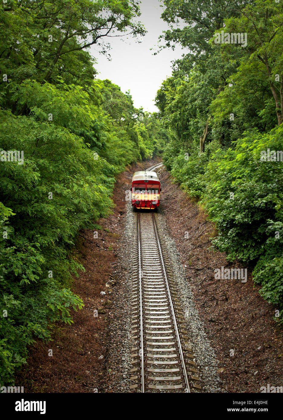 Railway track in forest on the outskirts of Prague/Czech Republic Stock ...