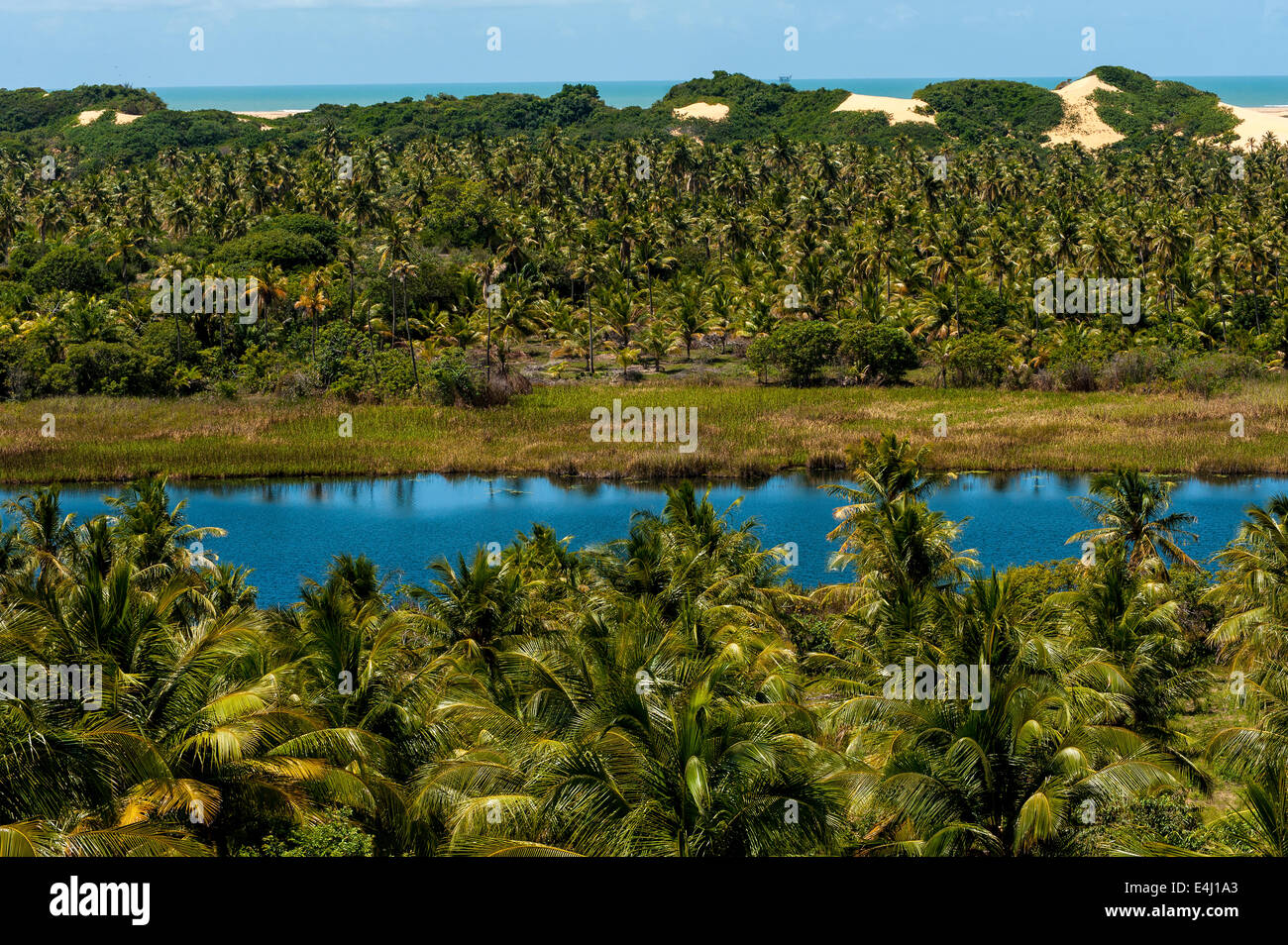 Pirambu beach, Lagoon of fresh water and tropical vegetation. Sergipe ...