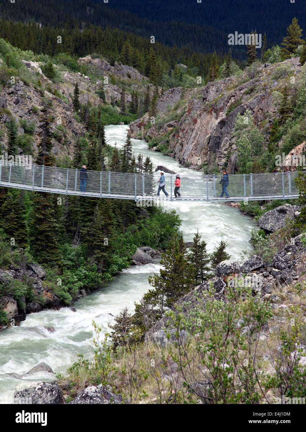 Suspension Bridge over the River Yukon Stock Photo - Alamy